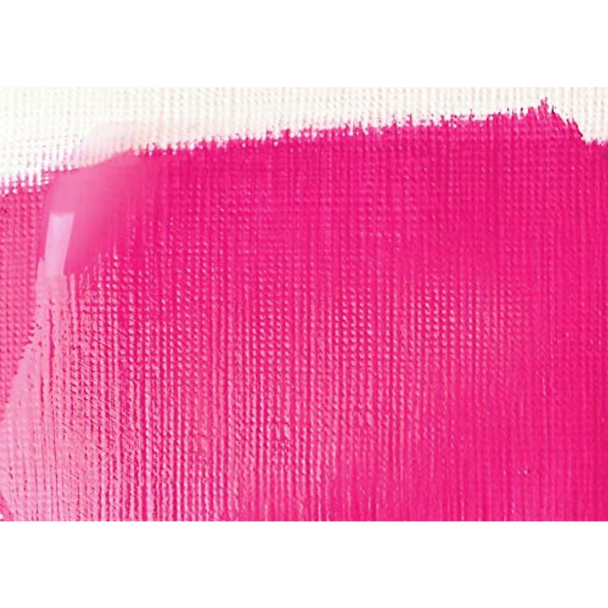 Liquitex BASICS Gloss Varnish, 250ml (8.4oz) Bottle