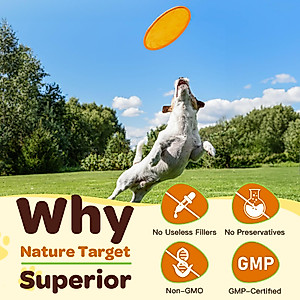 Glucosamine for Dogs - Joint Supplement for Dogs, Chondroitin, MSM, Turmeric, Omega 3 for Dogs, Support Hip and Joint Mobility - Dog Joint Pain Relief, Dog Joint Supplement Large Breed, 9.52 Oz