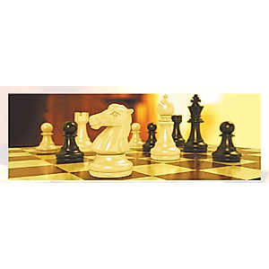 Multipurpose Go Magnetic Travel Chess Set with Folding Chess Board Educational Toys for Kids and Adults (12.6")