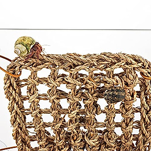 DQITJ Hermit Crab Hammock Natural Seagrass Fibers Hammock Small Reptile Climbing Toys Tank Accessories (Square Shape)