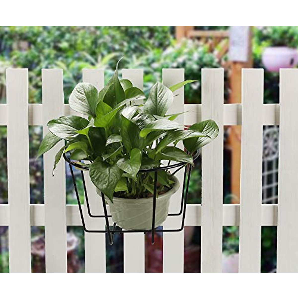 TQVAI 10" Hanging Planter, Rail Planter Baskets, Wire Flower Pot Holder Plants Hangers for Orchid, Deck, Patio Ledge, Balcony, Set of 3, Black