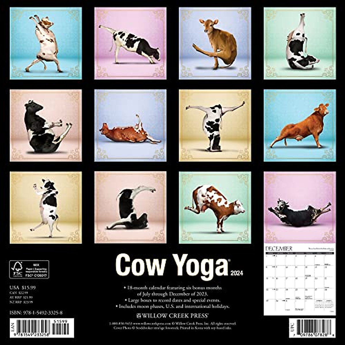 Willow Creek Press Cow Yoga Monthly 2024 Wall Calendar (12" x 12")