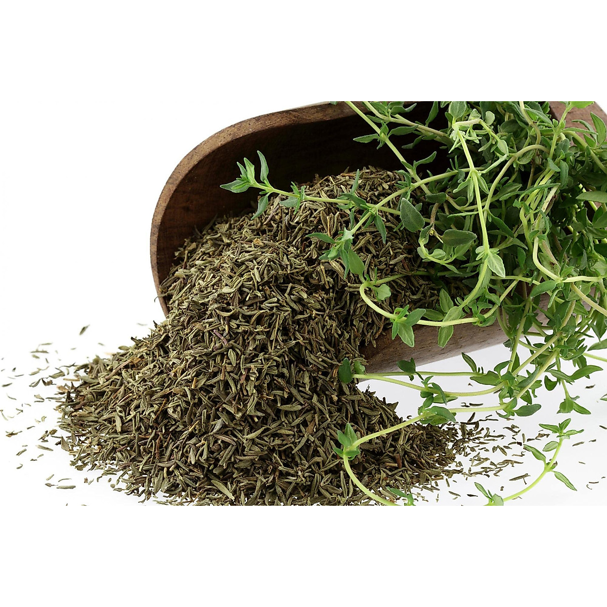 Seeds Common English Thyme Herbs for Planting Non GMO 500 Seeds