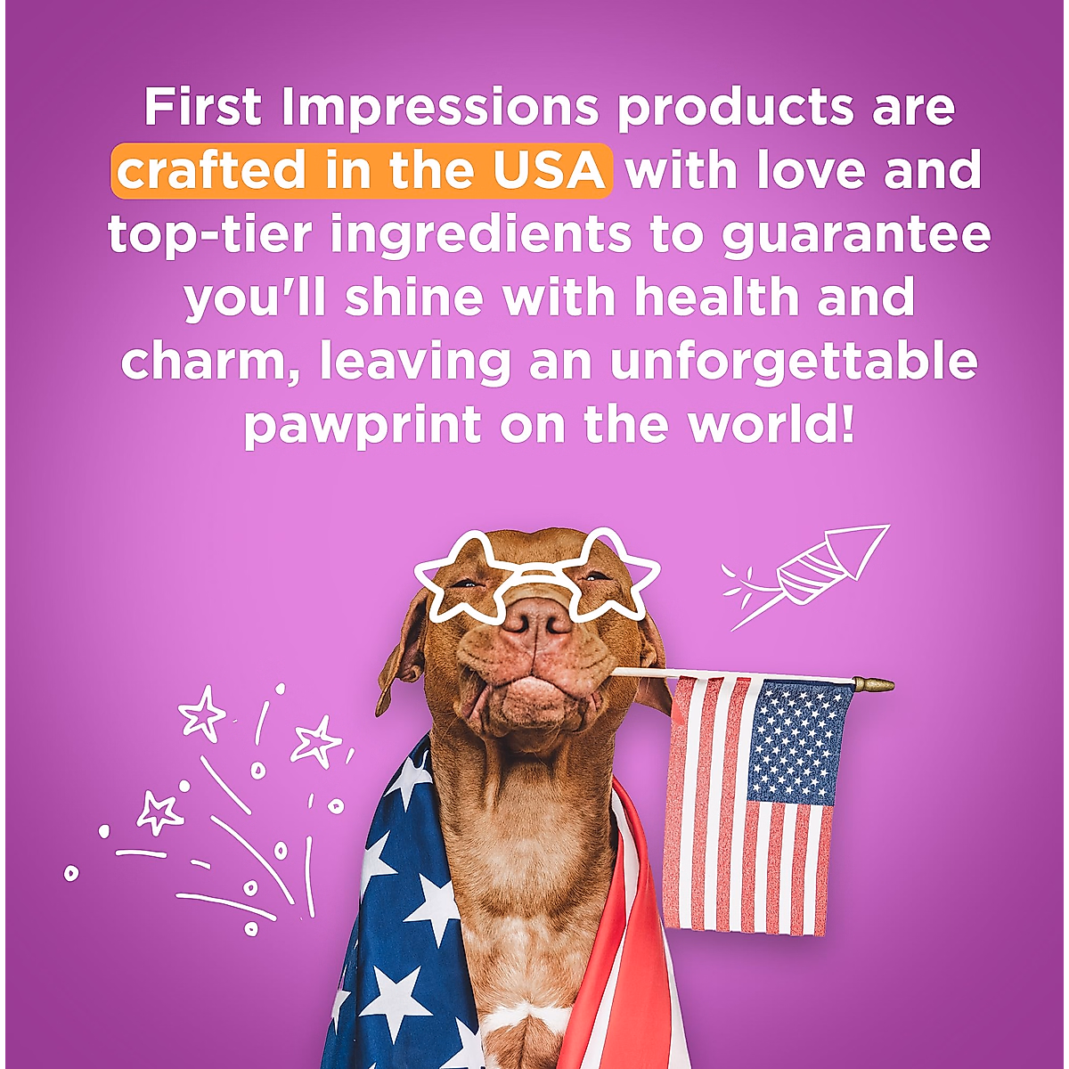 First Impressions No Scoots, Good Poops for Dogs - Tasty Soft Chews for Healthy Anal Gland and Digestion, High in Fiber for Dogs - with Beet Pulp, Psyllium Husk, and Pumpkin - 60 ct