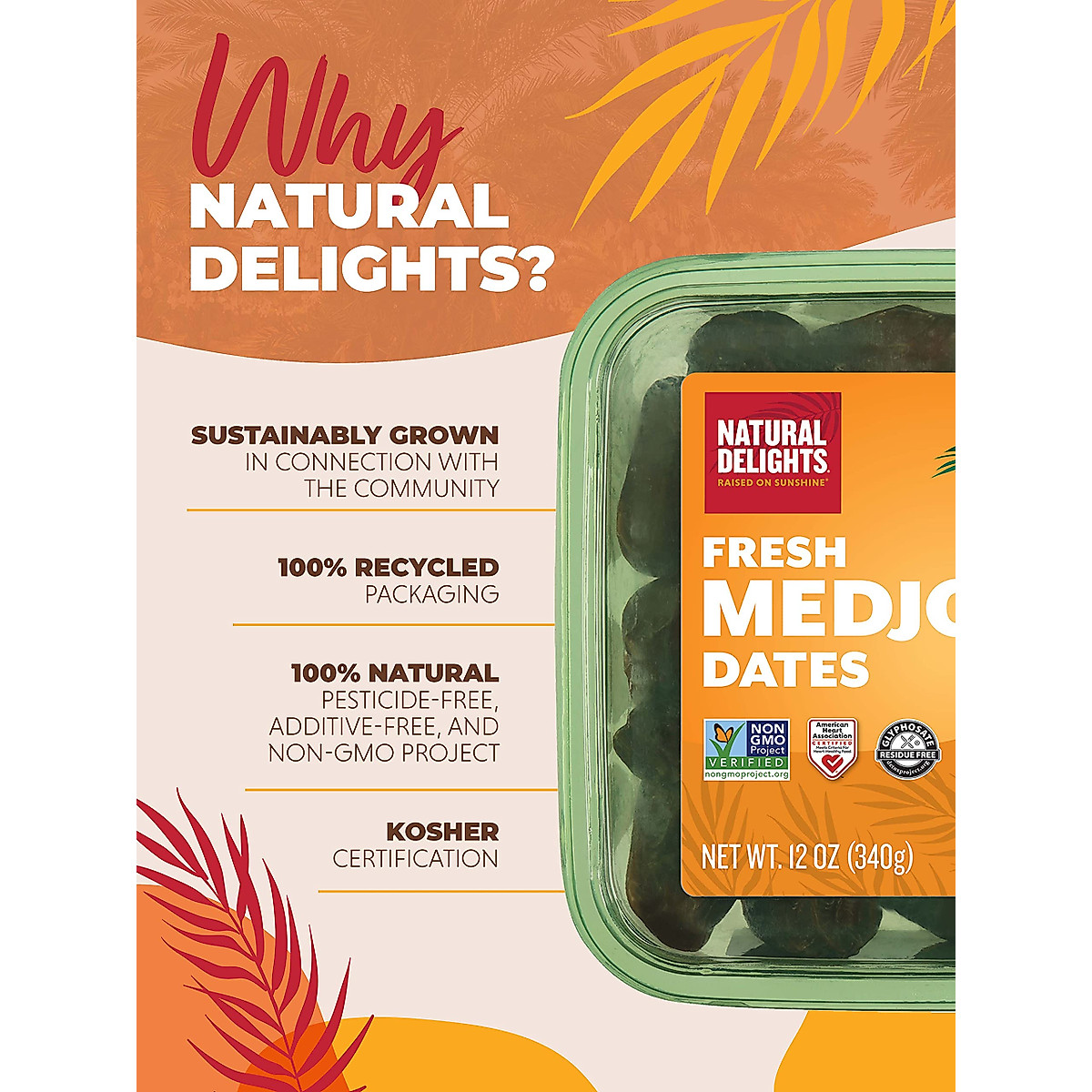 Natural Delights Medjool Dates – Large & Plump, Pitted Dates Medjool, Non-GMO Verified, Pesticide Free, Naturally Sweet Fruit Snack, Perfect for On-the-Go - Medjool Dates Pitted, 12 oz Container