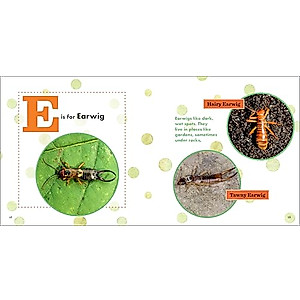 ABC Bug Book for Kids