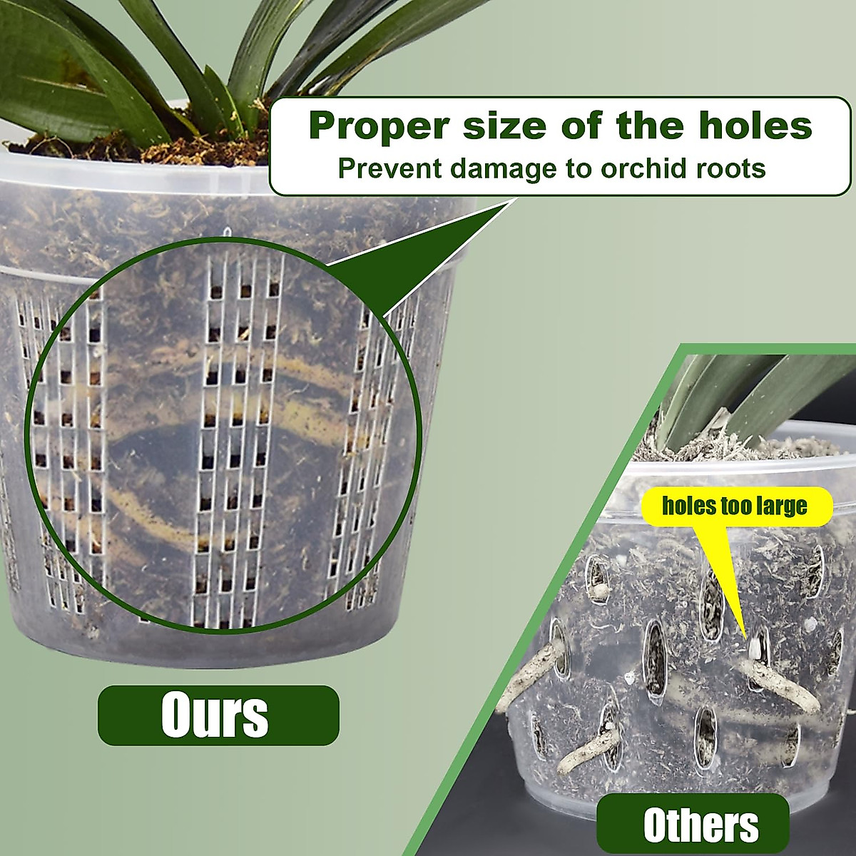 HOLANHING 8 Pack Orchid Pot, 4.5in Orchid Pots with Holes, Orchid Pots for Repotting with Clips, Clear Plastic Plant Pot for Indoor Outdoor Plants（4.5in, 8 Pack）