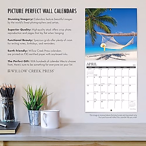 Willow Creek Press Paint Horses Monthly 2024 Wall Calendar (12" x 12")