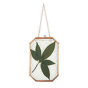 NCYP Wall Hanging 4X6 Inches Octagon Rose Gold Glass Frame for Pressed Dried Flowers, Handmade Double Glass Pure Copper Herbarium Frame, Floating Frame Style, Glass Frame Only