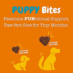 Zesty Paws Dog Allergy Relief - Anti Itch Supplement - Omega 3 Probiotics for Dogs - Digestive Health - Soft Chews for Skin & Seasonal Allergies - with Epicor Pets - Puppy - Lamb - 90 Count