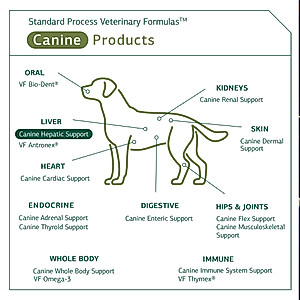 Standard Process - Canine Hepatic Support - Liver Metabolism Support for Dogs - 30 Grams