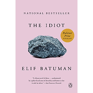 The Idiot: A Novel