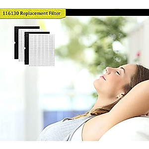 116130 Replacement Filter H for Winix 5500-2 AM80 Air Purifier True HEPA Activated Carbon Pre-Filters 2 Pack Washable Advanced Control Filter and 2 Pack PlasmaWave Odor Reducing Carbon Filters