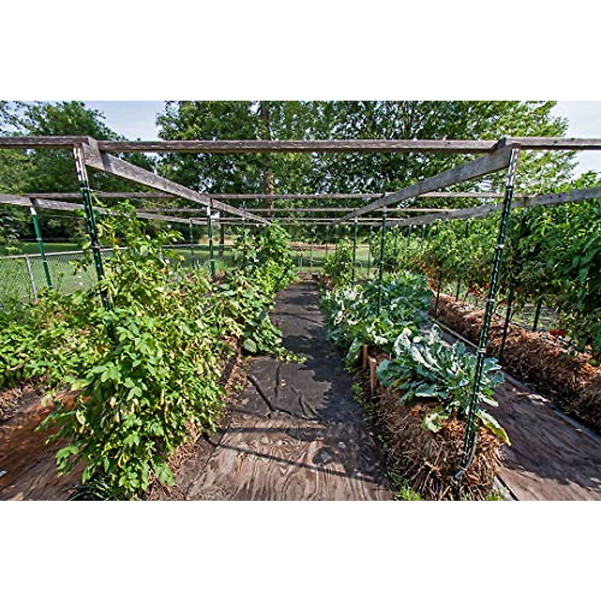 BaleBuster Straw Bale Gardening Twenty Bale Preparation kit Traditional Refined NPK Formulation 24 lbs (not Organic)