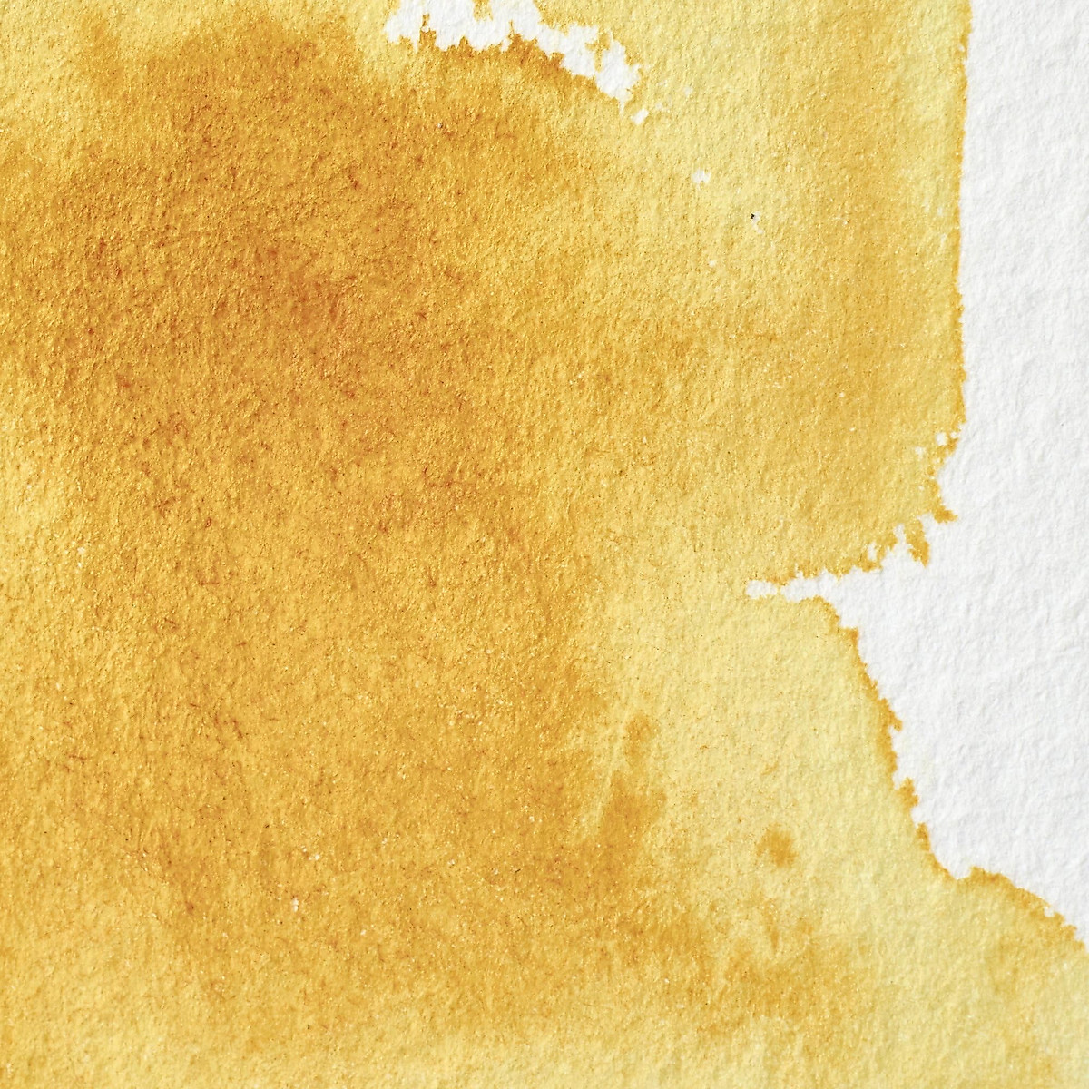 Winsor & Newton Professional Watercolor, 14ml (0.47-oz) Tube, New Gamboge