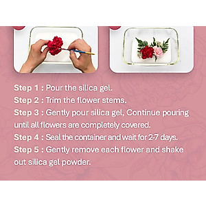 Dry & Dry (1 Gallon-NET 6 LBS) Color Indicating Premium Silica Gel Flower Drying Desiccant - Flower Drying Silica Gel Desiccant(6 LBS Reusable) Silica Gel