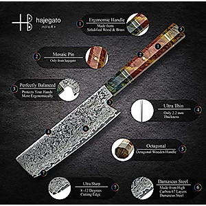 hajegato Damascus Chef Knife Unique One of Kind Handle Professional Japanese Chefs Kitchen Knife Vg10 67 Layers Damascus Steel Knive (Nakiri 7")