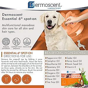 Dermoscent Essential 6 spot-on - Dog Skin Care for Dandruff & Allergy Relief with Vitamin E Oil - Anti Itch for Dogs - Natural Ingredients for Sensitive Skin - Dogs 20-40 kg - 4 Pipettes of 2.4 ml