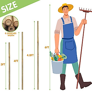 Plant Stakes,4FT Longer Sturdy Natural Bamboo Garden Stakes,GAGINANG 25Pcs Bamboo Sticks Trellis Support for Tomato, Vegetables Beans Trees Climbing Plants