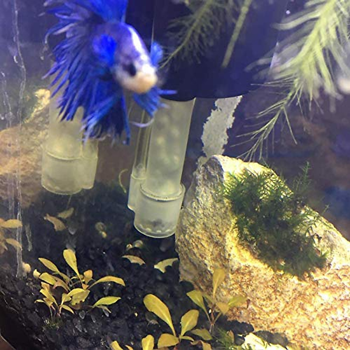 IC INSTANT COACH 10W Super Slim Aquarium Fish Tank 5730 LED Light Clip-on Lamp Aquatic Plant Lighting (Black Body White+Blue Light)