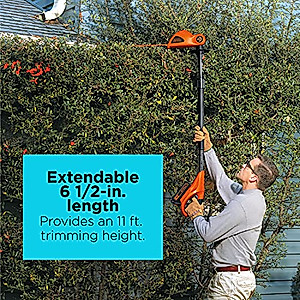 BLACK+DECKER 20V MAX Cordless Pole Hedge Trimmer, 18-Inch (LPHT120)