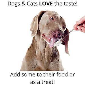 100% Organic Coconut Oil for Dogs & Cats - Virgin Coconut Oil for Dogs Skin and Coat - Dog Lotion for Dry Itchy Skin - Dog Moisturizer for Dry Skin - 16 fl oz - Soothes Itchy Skin Allergies