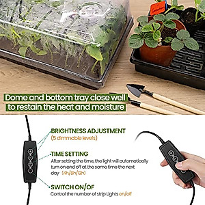 [Upgraded Light] Seed Starter Kit with Grow Light - Durable Seed Tray, 60 Cell Seed Starting Tray, Humidity Dome for Seed Growing Germinating, Seedling Starting, Cutting Clone & Plant Propagation Kit