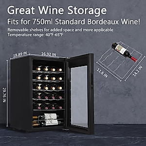 GarveeHome 28 Bottle Compressor Wine Cooler Refrigerator, Wine Fridge Freestanding Wine Cellar for Red Wine, White, Champagne, Sparkling Wine with Digital Temperature Control, Soft LED Light