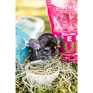 PremiYum Standlee Western Orchard Grass Hay Small Animal Food for Rabbits, Guinea Pigs, and Chinchillas, 9 lb. Box