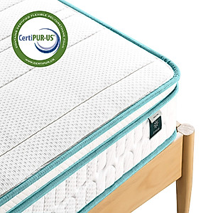 ZINUS 8 Inch Memory Foam Spring Hybrid Mattress, Full, Euro Top Innerspring Mattress, Green Tea-Infused Foam, CertiPUR-US Certified, Mattress in A Box