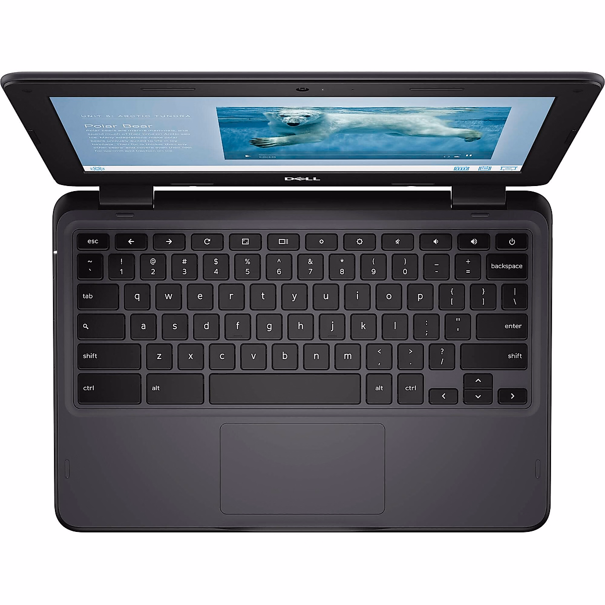 Dell Education Chromebook 3110 11.6" Laptop, Intel Celeron N4500 Dual-core 1.10 GHz to 2.80GHz, 4 GB RAM 32 GB SSD, Chrome OS(Renewed)