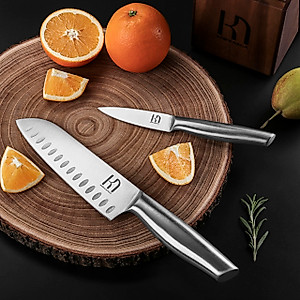 KnifeSaga 2024 Upgraded Knife Set 14 Piece Premium Japanese High Carbon Stainless Steel Kitchen Knife Block Sets with Built-in Sharpener, Razor Sharp Knives Set for Kitchen, Angled Acacia Wood Block