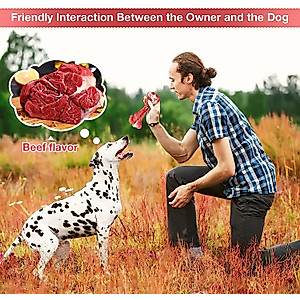 Chew Toys for Dogs. Durable and Safe for Dogs of All Ages and Sizes. Ensures Interactive Fun and Dental Care to Keep Your pet Healthy and Entertained.