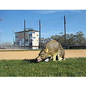 Bird-X 3D Coyote Decoy, Lifelike Predator Replica, Coyote Decoy with Moving Tail and Realistic Markings, Easy to Install, Covers up to 1 Acre of Land, 32" x 8" x 30"