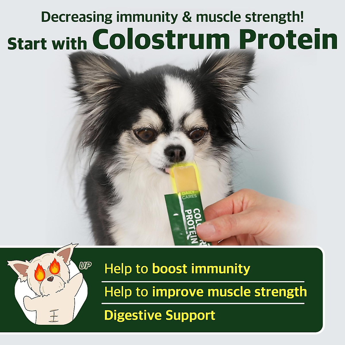 Doctor By Colostrum Protein for Dogs and Puppy – Weight Gain Supplement for Dog - Muscular Strength and Immune System Support with Colostrum, Whey Protein Isolate, Goat Milk – 30 Tubes