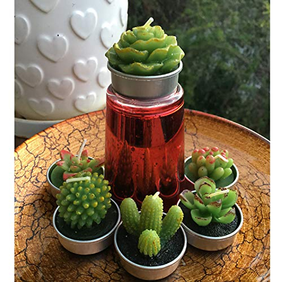 GIFTEXPRESS 18 Pcs Succulent Cactus Candles No Repeat Style, Delicate Smokeless Scented Tealight Candles for Home Décor, SPA, Wedding, Valentine's Day, Birthday Gift, Anniversary Celebration