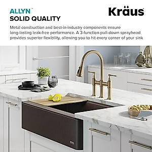 KRAUS Allyn Transitional Bridge Kitchen Faucet and Water Filter Faucet Combo in Brushed Gold, KPF-3121-FF-102BG