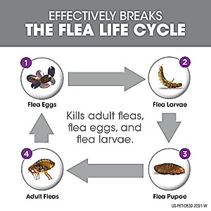 FRONTLINE Plus for Dogs Flea and Tick Treatment (Large Dog, 45-88 lbs.) 3 Doses (Purple Box)