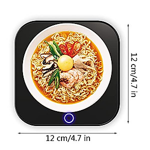 Food and Plate Warming Tray Electric Warming Tray 5 Inch Buffets Server Electric Food Warmer Plate Perfect for Family Use