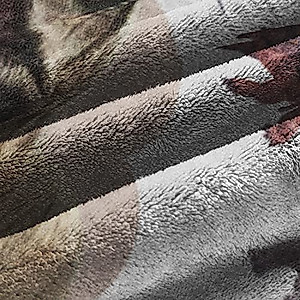 Dinosaur Blanket for Boys，Jurassic World Adults Dino Blanket，Soft Cozy Warm Throw Fleece Blanket for Couch Sofa Bed (Dinosaurs White, 60" L x 50" W)