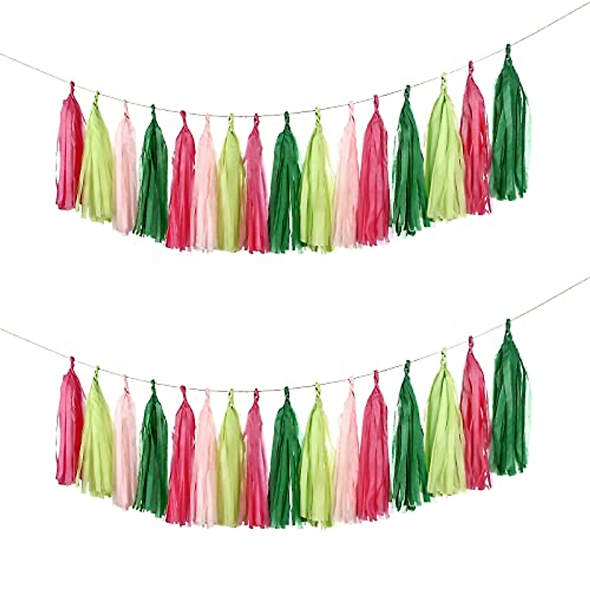 GUZON Pack of 20 Watermelon Party Tassel Garland DIY Kit Balloon Tail Tassels Melon Birthday Summer Party Decorations