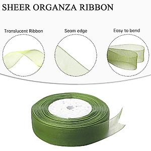 Hiswan 3/4 inch Sage Green Sheer Organza Ribbon 50 Yards Chiffon Ribbon for Gift Wrapping Christmas Halloween Decoration Wedding Flower Bouquet Crafts