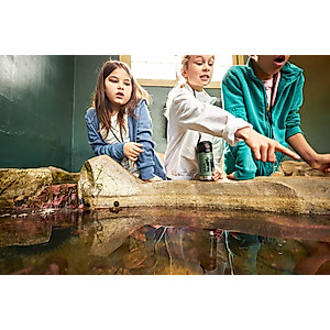 Stanley FlowSteady Bear Cub Bottle, 12oz, Stainless Steel Insulated Water Bottle for Kids (8 and Above) with 3 Interchangeable Metal Badges, Hammertone Green