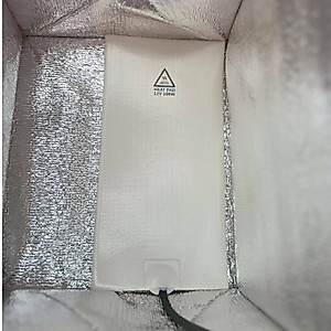 RICHOOSE 12V Pizza Hot Food Delivery Bag Heating Warmer Pad,100W Silicone Food Warmer Pad,Max. Temperature 176℉ (80℃), w/Car Charger and On/Off Switch, 2m detachable power cable