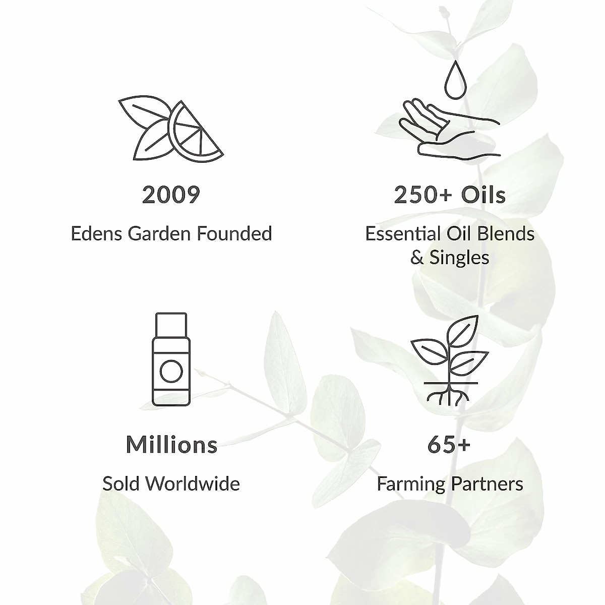 Edens Garden Fighting Five Bar Soap – Natural Cold-Processed Soap with Pure Cleansing Essential Oils for Immunity & Wellness – Handmade Vegan Aromatherapy Bar for Skin, Face & Body, 4.5 oz (127 g)