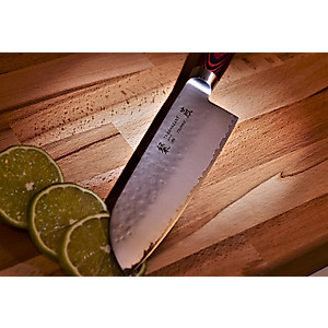 Hyabusa Cutlery Hyabusa Sashimi Knife, 9.5-Inch, Burgundy