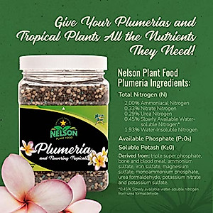 Nelson Plumeria Plant and All Flowering Tropicals Food Ferns Orchids Lilys In Ground Container Patio Grown Granular Fertilizer NutriStar 5-30-5 (2 lb)