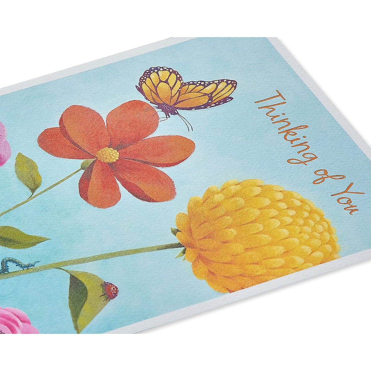 American Greetings Thinking of You Card (Brighten Up Your Day)