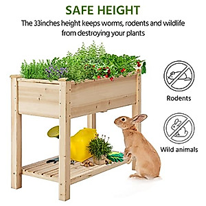 Yaheetech Raised Garden Bed Planter Box with Legs & Storage Shelf Wooden Elevated Vegetable Growing Bed for Flower/Herb/Backyard/Patio/Balcony 34x18x30in