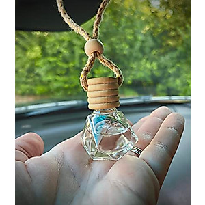 Hanging Fragrance Diffuser (Apple & Cinnamon) | Cute Car Accessory | Long-Lasting Scent | Air Deodorizer, Freshener